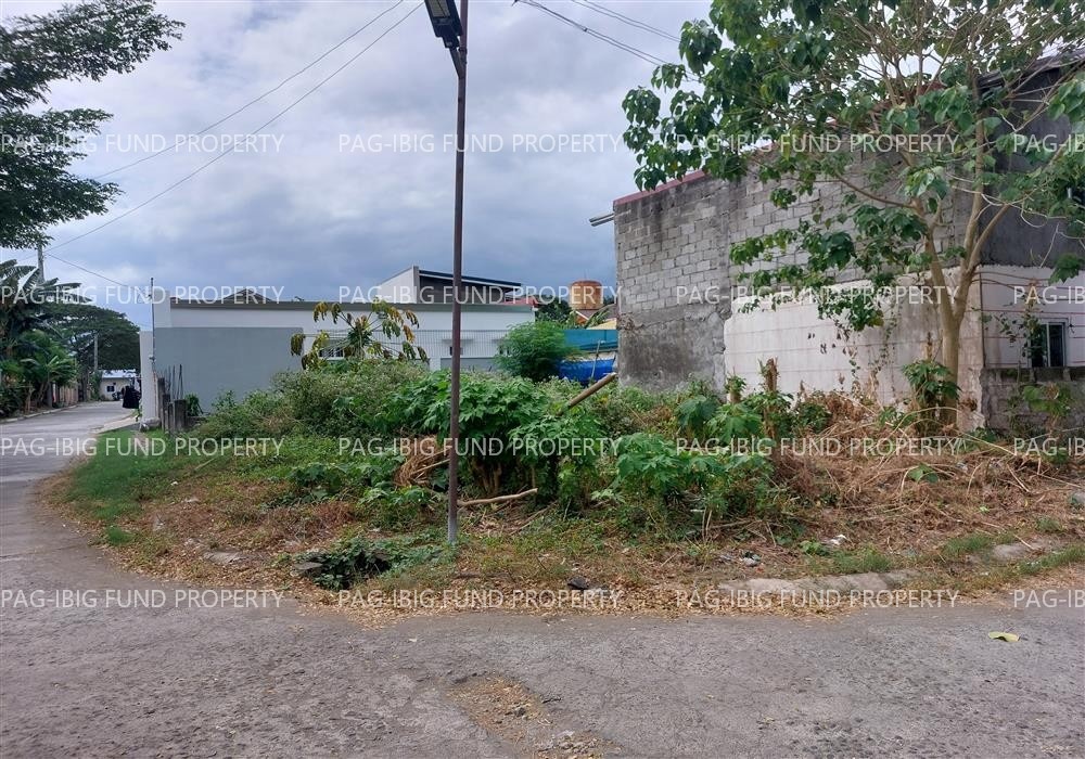 PAG-IBIG Foreclosed Lot Only - Lot 3 Blk. 3 Phase 3 St. Paula Homes ...